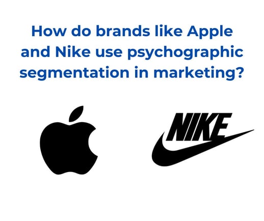 Psychographic Segmentation in Marketing: The Complete Guide |Convertedin